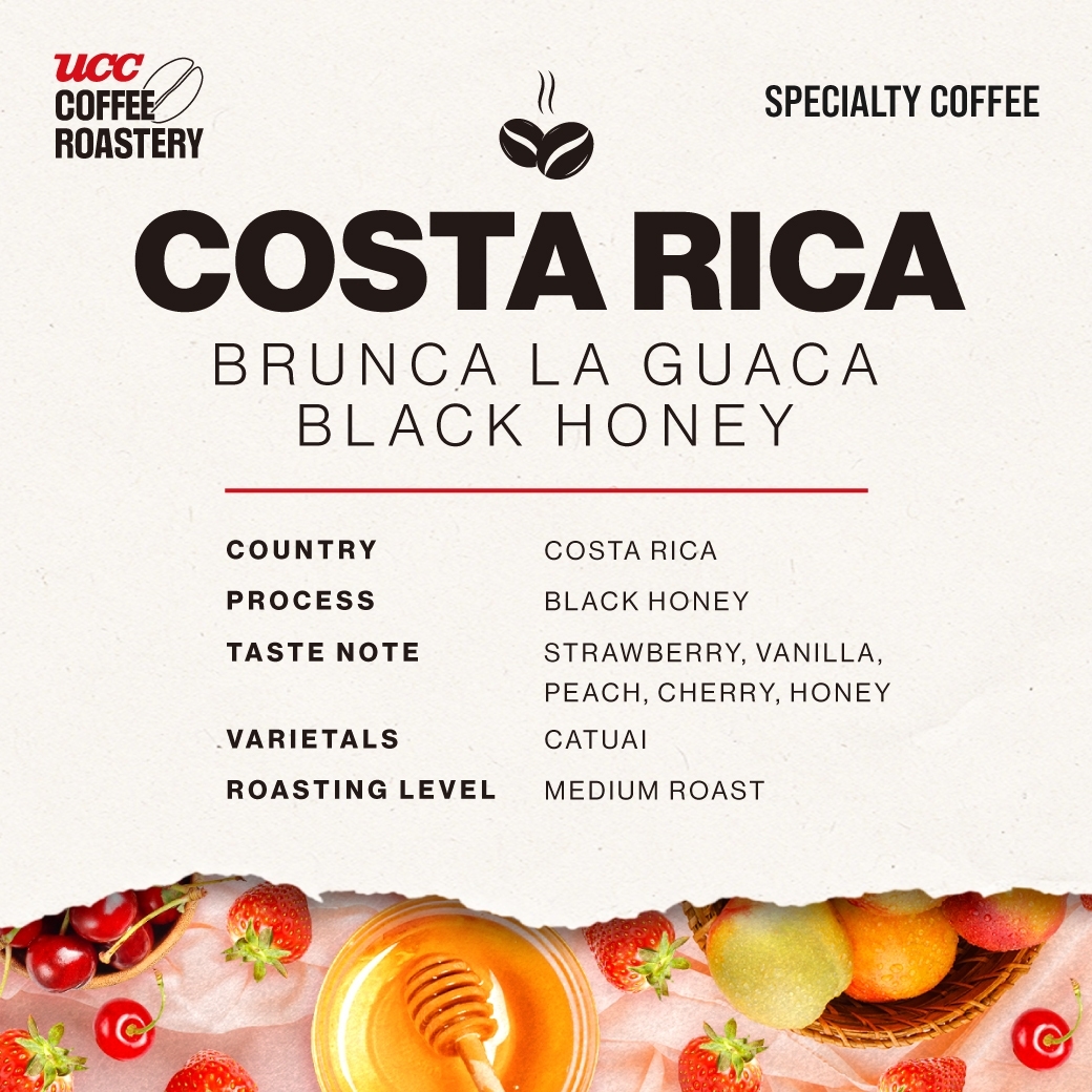 UCC Roastery - COSTA RICA BRUNCA LA GUACA BLACK HONEY COFFEE DRIP BAG ...