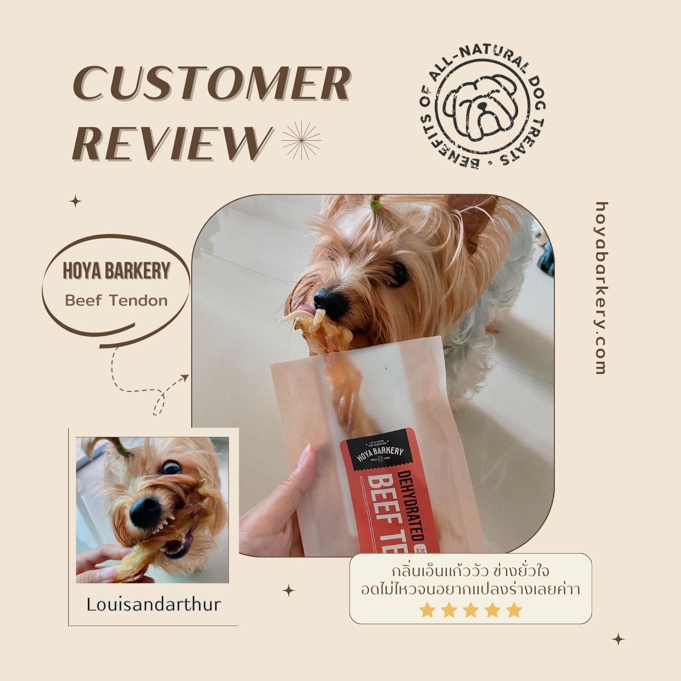 เอ็นแก้ววัวอบแห้ง Beef Tendon ขนมน้องหมา Hoya Barkery Dog Treats No ...