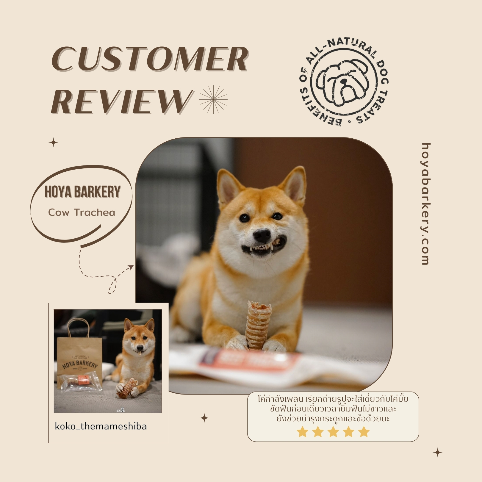 หลอดลมวัว Beef Trachea ขนมน้องหมา Hoya Barkery Dog Treats | Shopee Thailand