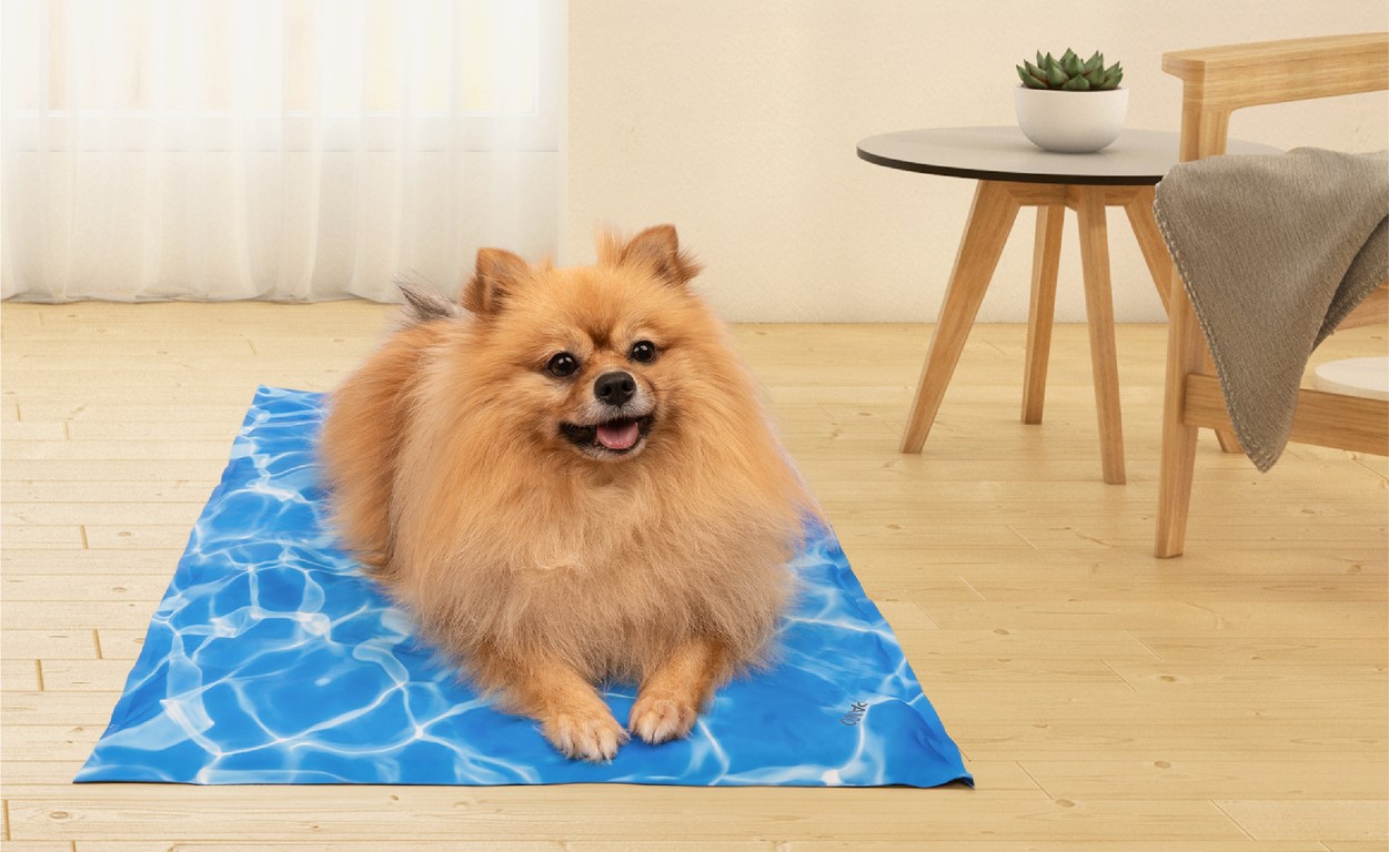 PANDO Pet Cooling Mat Blue เบาะเจลเย็นสำหรับสัตว์เลี้ยง | Shopee Thailand