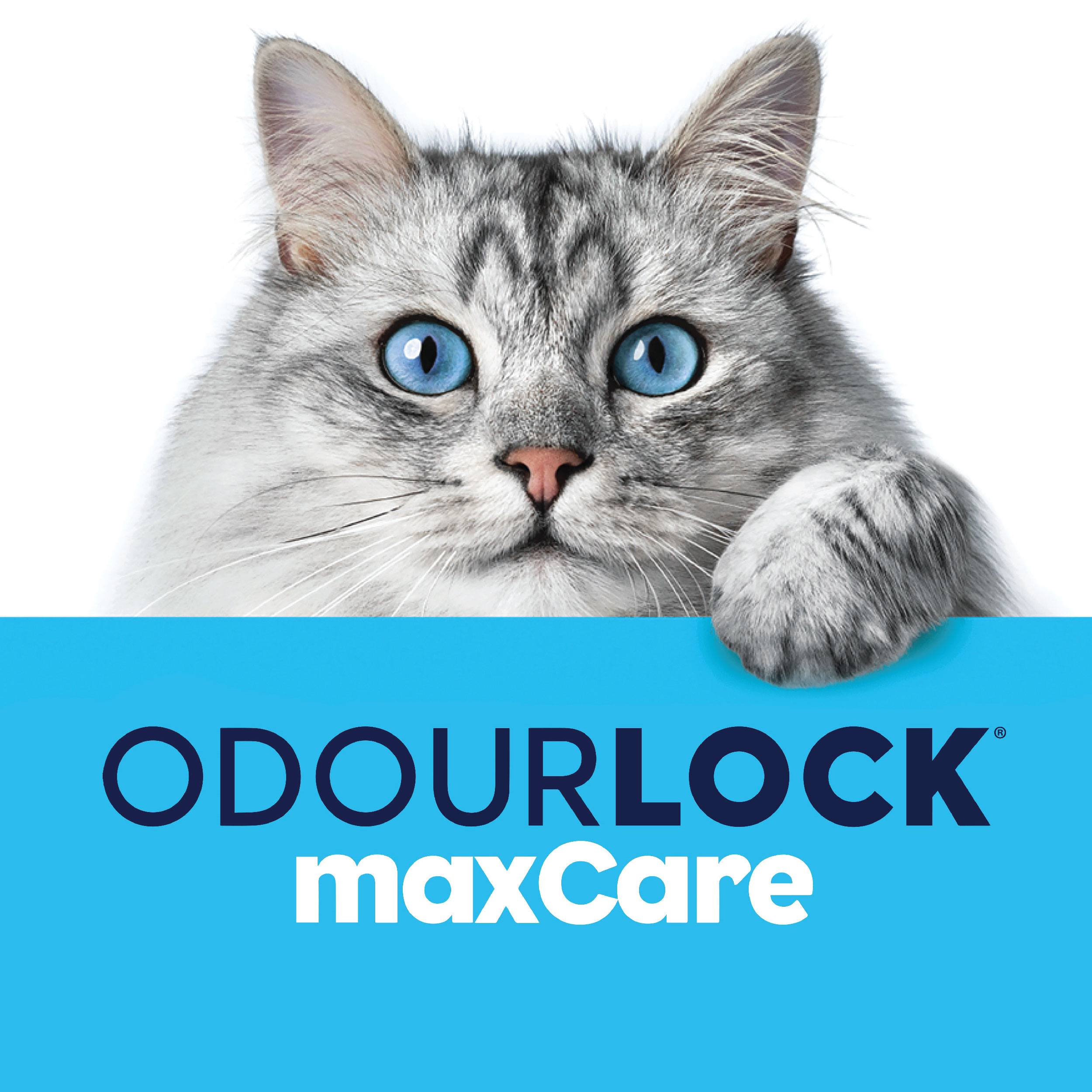ODOURLOCK MAXCARE (โอโดล็อก แม็กแคร์) ทรายแมวภูเขาไฟ เกรด อัลตรา พรีเมี ...