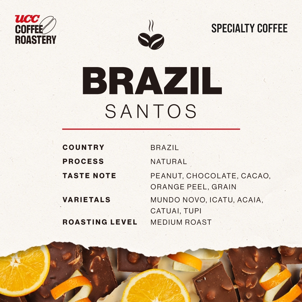 UCC Roastery - BRAZIL SANTOS (COFFEE DRIP) กาแฟดริปแบบซอง (10g×5bags ...