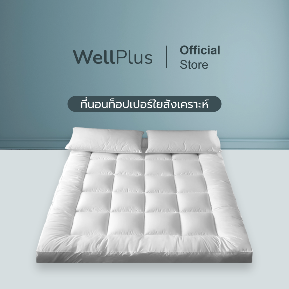 Wellplus Topper ที่นอนท็อปเปอร์สุขภาพ หนา 4 นิ้ว ใยสังเคราะห์ นุ่มสบาย ระบายอากาศได้ดี | Shopee ...