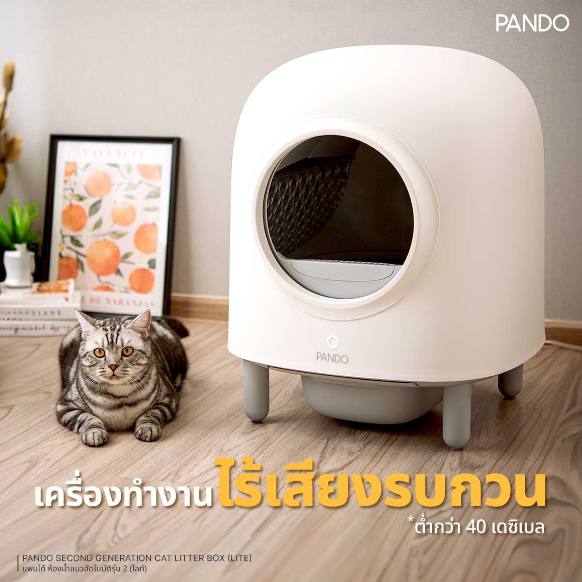 [ของแถม+ใช้โค้ดลด5%] Rabbit Selection Pet Pando Second Generation Cat ...