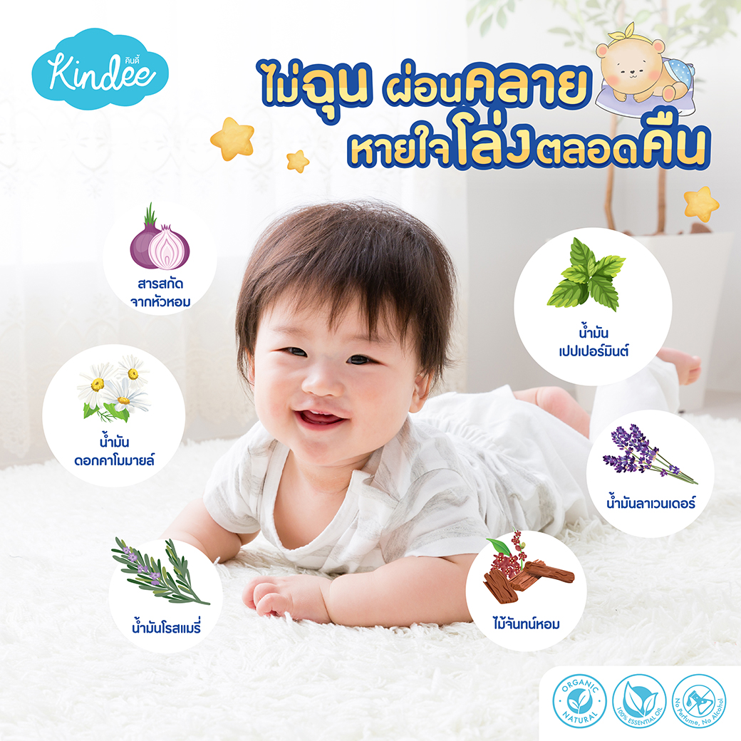 [ยกแพ็ก] Kindee คินดี้ ผลิตภัณฑ์หอมระเหย สูตรกู๊ดไนท์ ชนิดน้ำแบบเติม (45 มล.) | Shopee Thailand