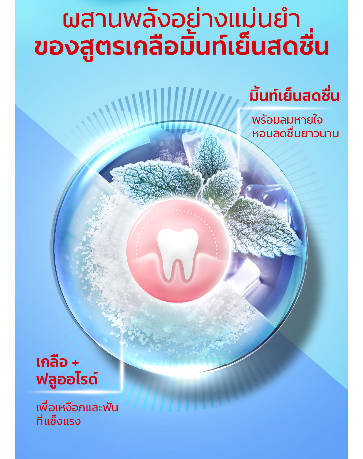 ยาสีฟัน คอลเกต เกลือ มิ้นท์เย็นสดชื่น 150g รวม 3 หลอด Colgate Salt ...