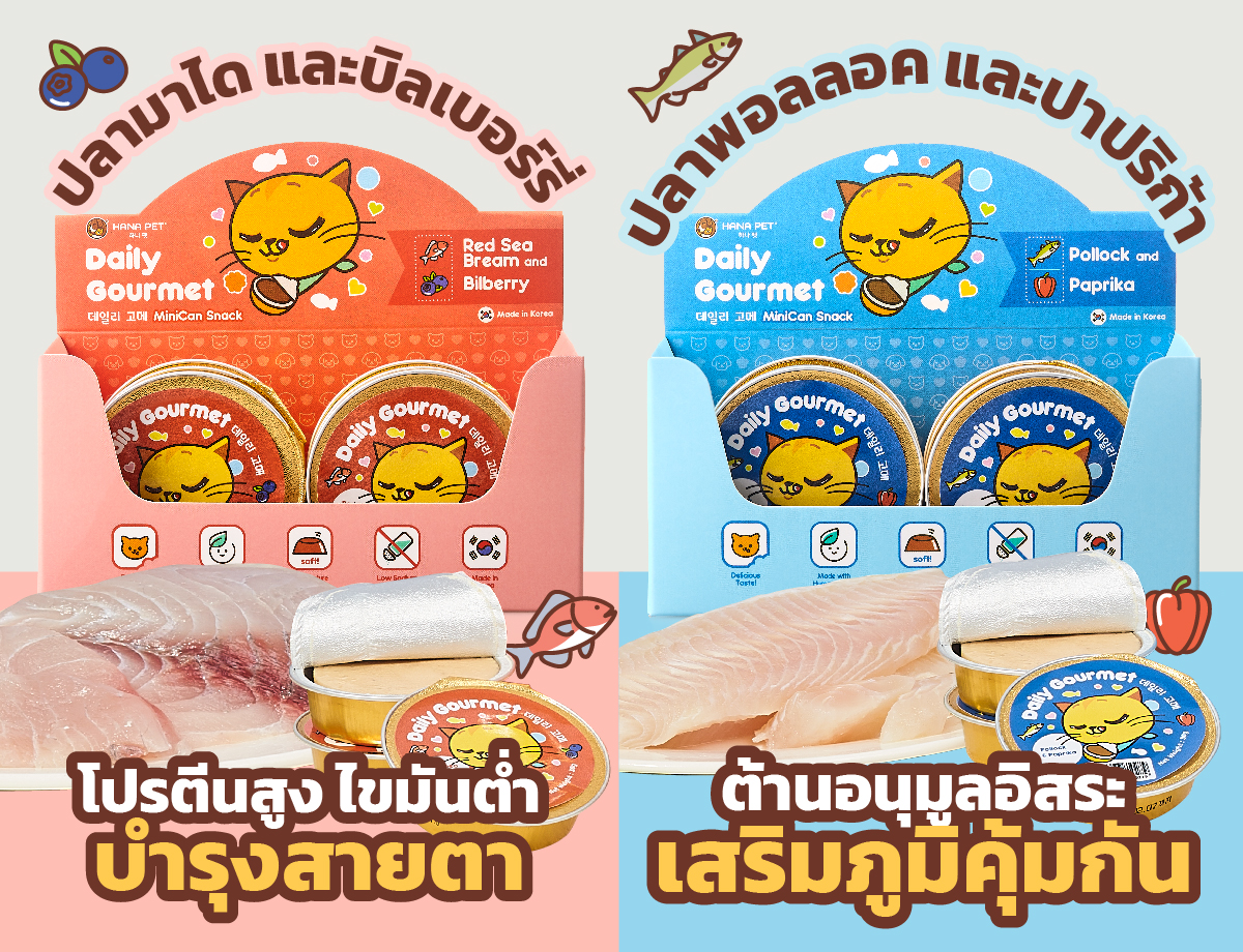 Hana Pet ขนมแมว Tasty Town Daily Gourmet | Shopee Thailand
