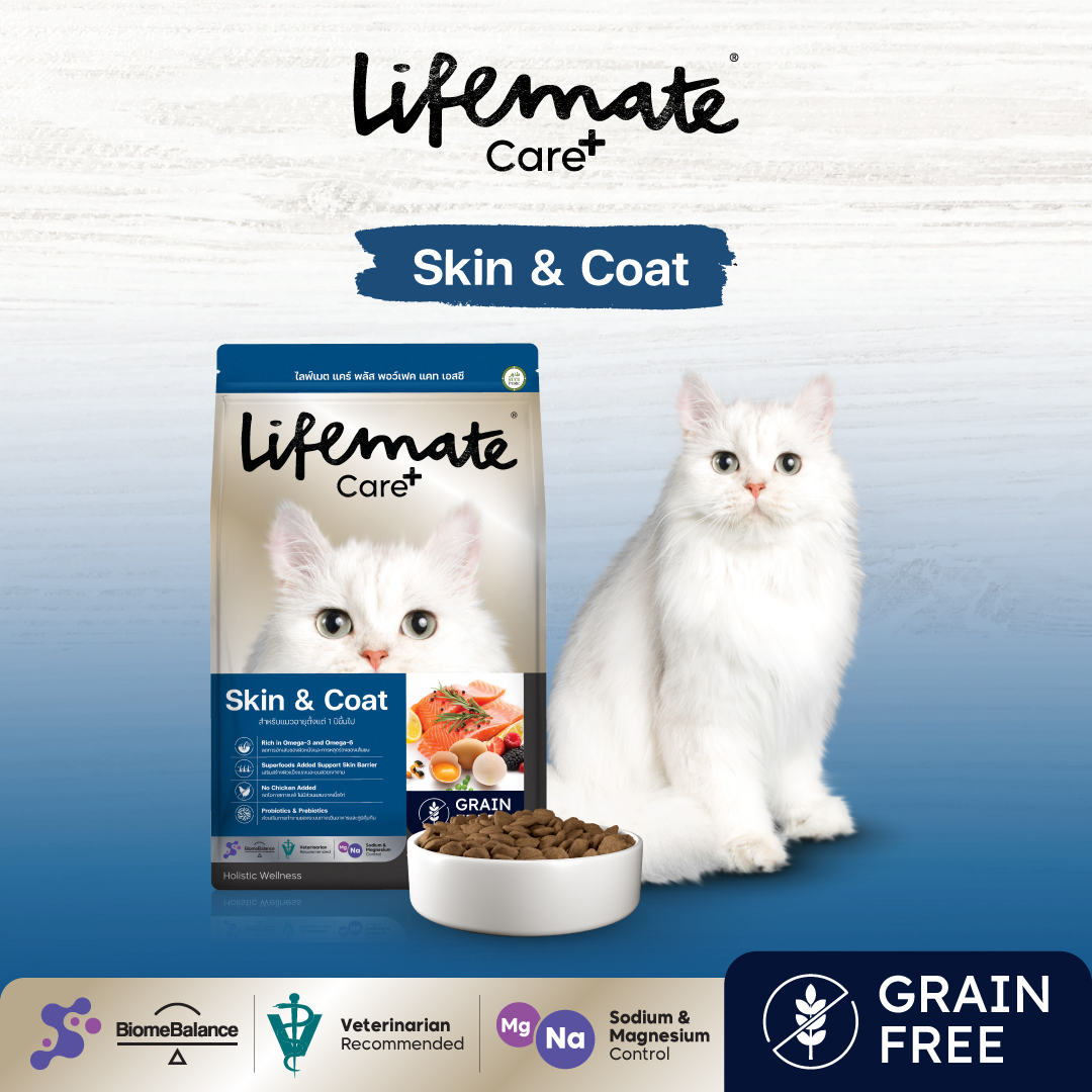 Lifemate Care+ skin & coat อาหารแมวโตสูตรดูแลผิวหนังและขน ขนาด 1 กิโลกรัม | Shopee Thailand