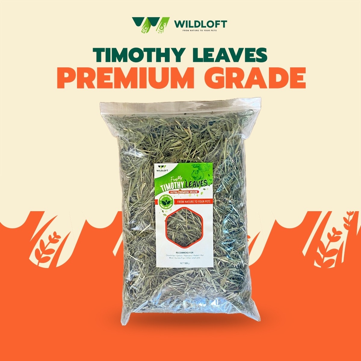 Wildloft Timothy Leaves (ใบทิมโมธีอัลตร้าพรีเมี่ยม) | Shopee Thailand