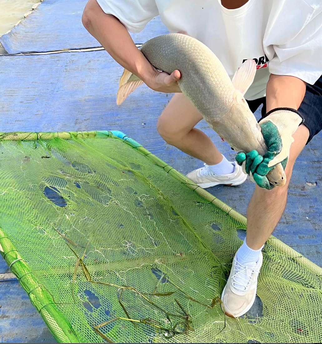 Adidas อาดิดาส รองเท้าผ้าใบ รองเท้าลำลอง RN M Ozelle IF2852 (2400 ...