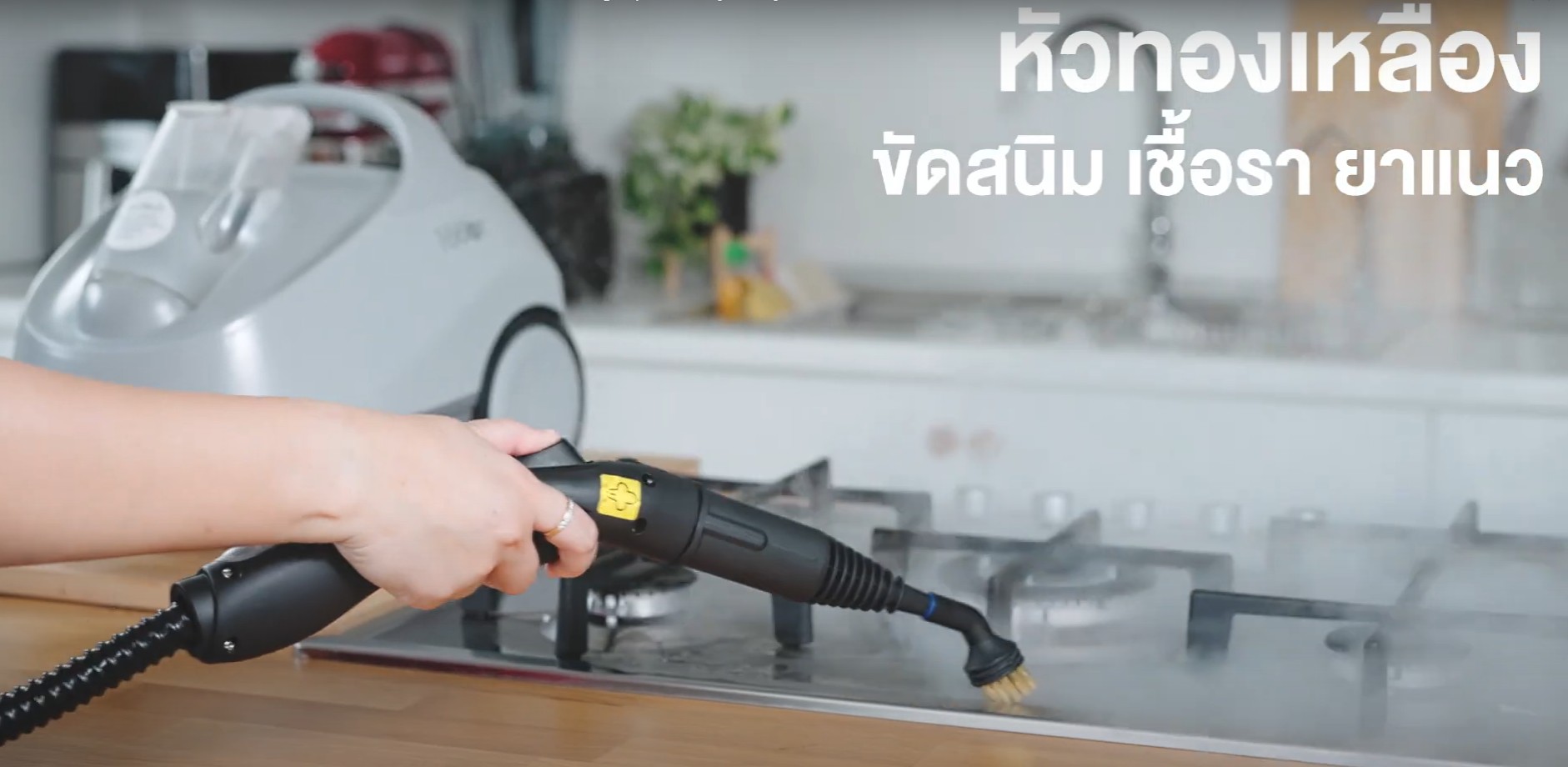 Mister Robot เครื่องทำความสะอาดระบบไอน้ำ รุ่น Heavy Duty Steam Cleaner ...