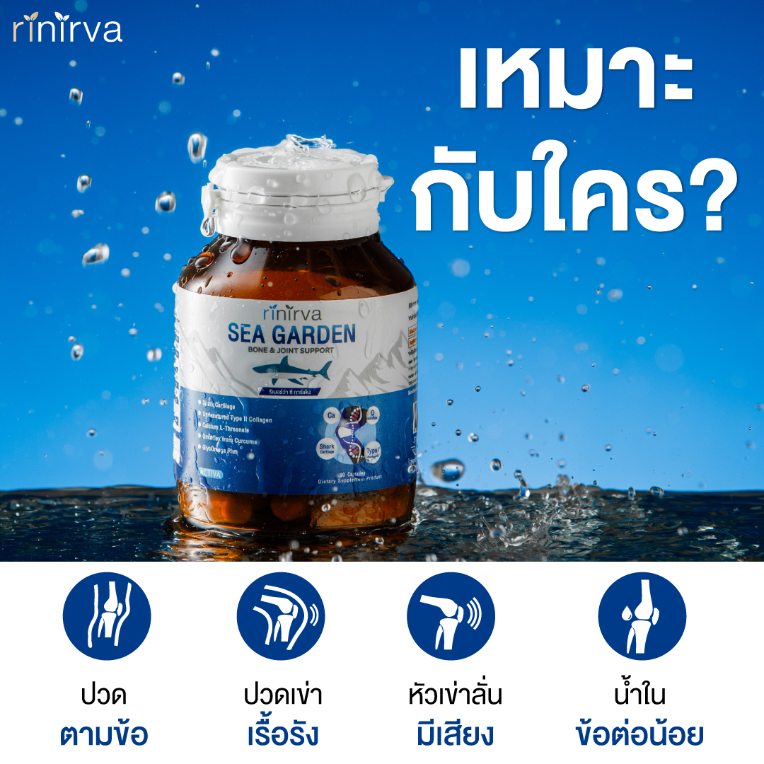 Rinirva SeaGarden Undenatured collagen typeII ริเนอร์ว่าซีการ์เด้น เสริมแคลเซียม+คอลลาเจน บำรุง ...
