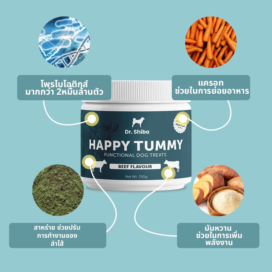 Dr. Shiba Happy Tummy - Dog Treats ขนมสุนัขช่วยระบบการย่อยอาหาร รสเป็ด ...