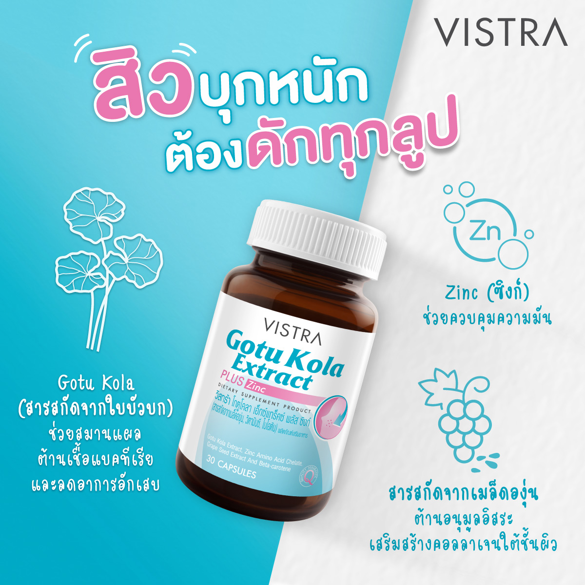 VISTRA GOTU KOLA EXTRACT PLUS ZINC 30 CAPS 16.5 กรัม - วิสทร้า โกตู โค ...