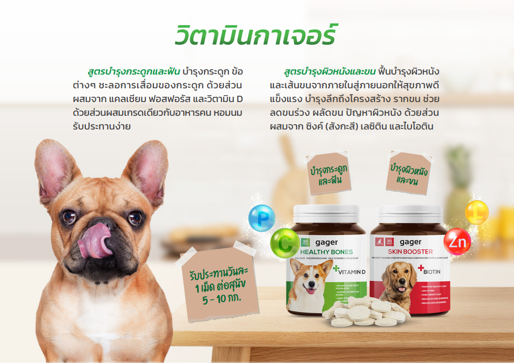 Gager (กาเจอร์) วิตามินสำหรับสุนัข วิตามินหมา SKIN BOOSTER บำรุงผิวหนัง ...