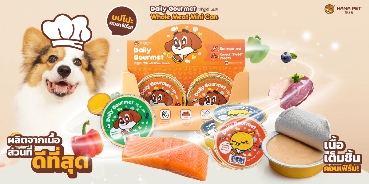 Hana Pet ขนมแมว Tasty Town Daily Gourmet | Shopee Thailand