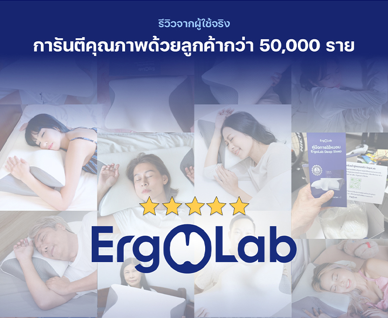 [ส่งฟรี] หมอน ErgoLab Deep Sleep | ขจัดอาการปวดคอและเปลี่ยนชีวิตการนอนด้วยการนอนหลับลึกขึ้น ...