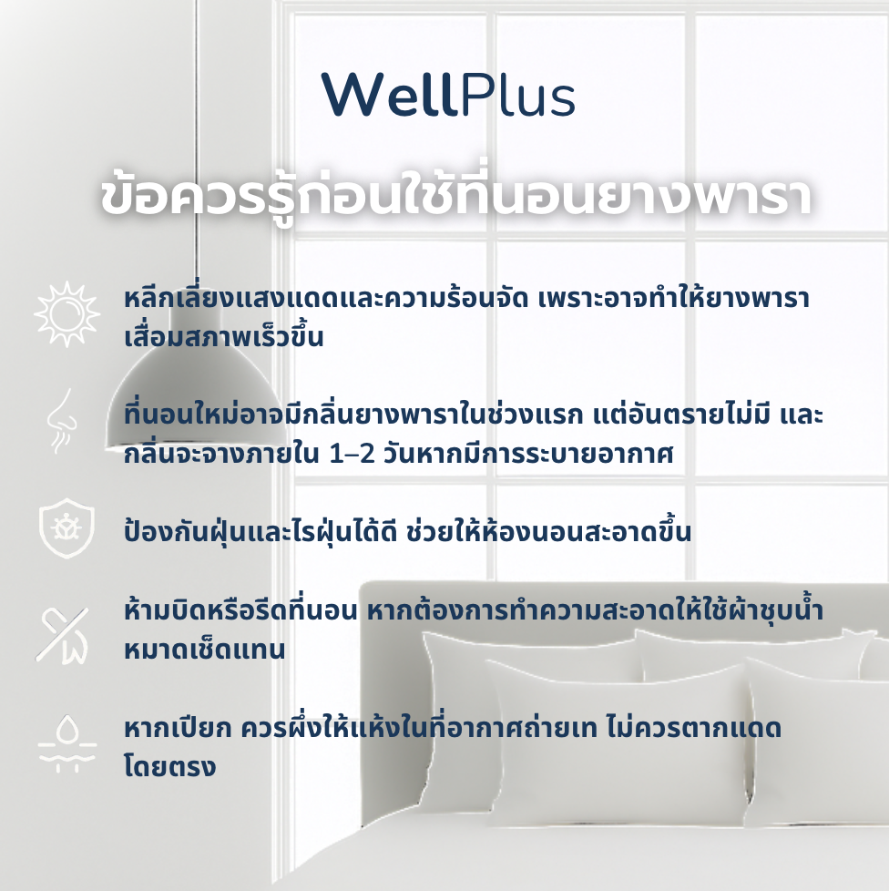 [รับประกัน 10 ปี] WellPlus ที่นอนยางพาราแท้อัดสุญญากาศ รุ่น Meryl สัมผัสนุ่มแน่น นอนสบายรองรับ ...