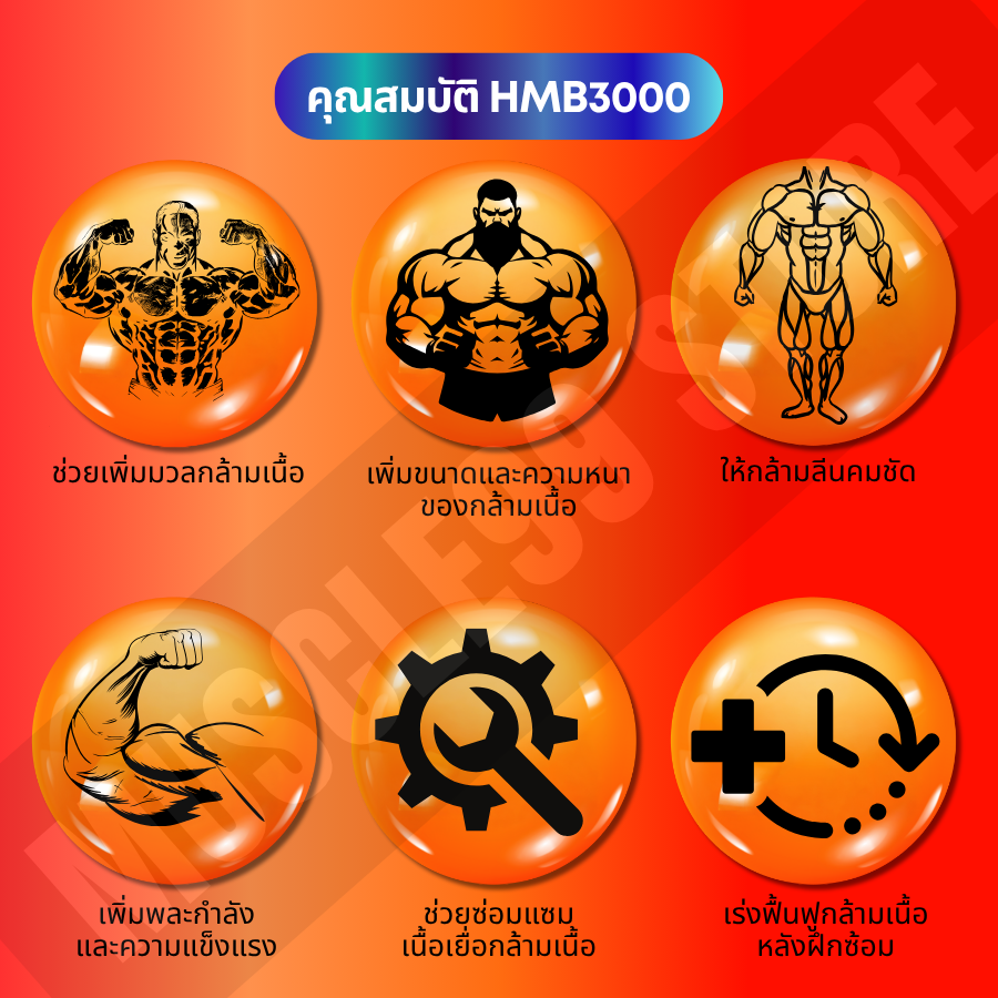 💊ALLMAX HMB 3000(120 Capsules) แคลเซียม HMB ชนิดแคปซูล | Shopee Thailand