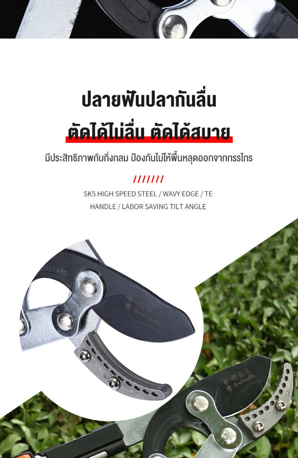 MAYILON กรรไกรตัดกิ่ง กรรไกรตัดกิ่งไม้ด้ามยาว ตัดกิ่งได้ เหล็ก กรรไกรตัดหญ้า SK5 ปรับควายาวได้ ...