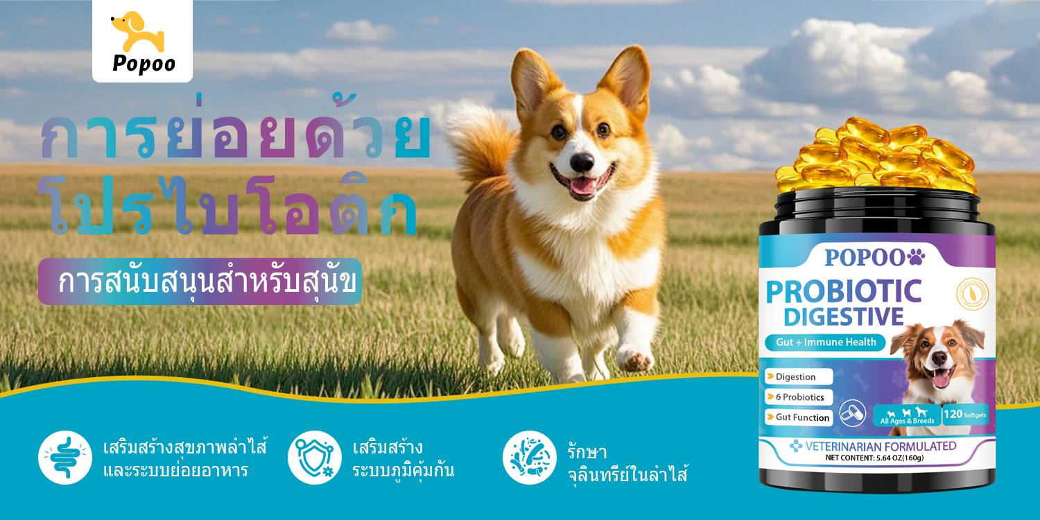 Popoo Probiotics for Dogs Gut Health โพรไบโอติกสุนัข สุขภาพทางเดินอาหาร ...