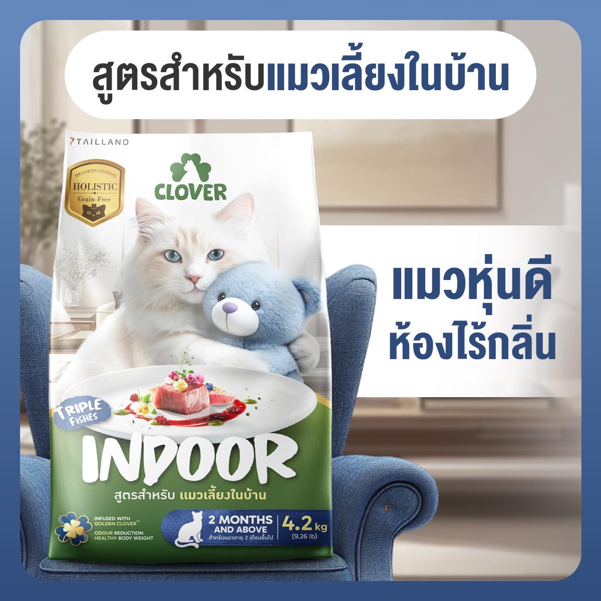 [ส่งฟรี!] Clover อาหารแมว ultra holistic grain-free ขนาด 1 KG กก. สูตร ...