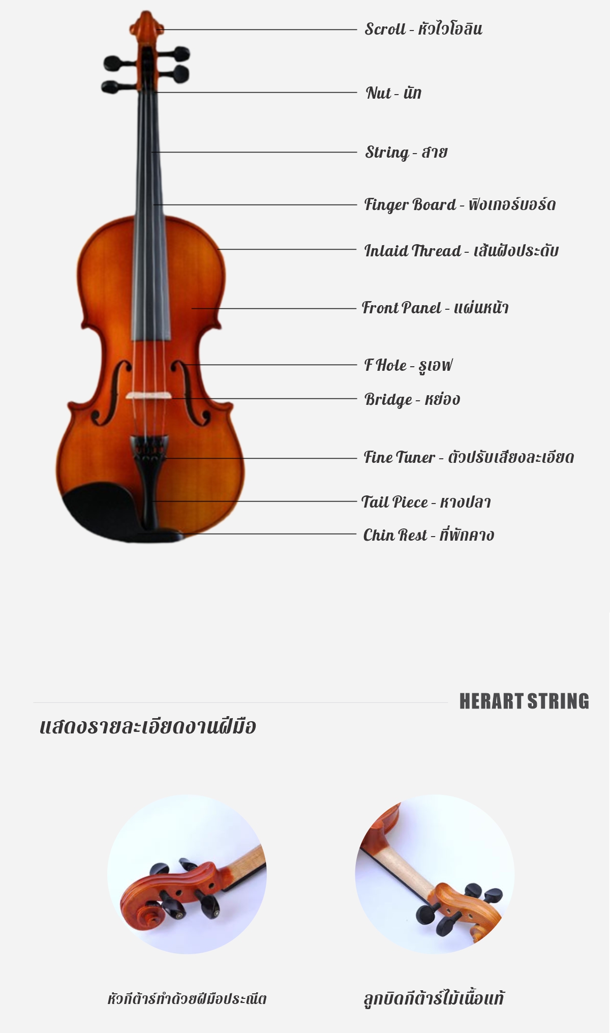HeartString ไวโอลิน1/8 1/4 1/2 3/4 4/4 violin Wood ไวโอลิน เด็ก เครื่อง ...