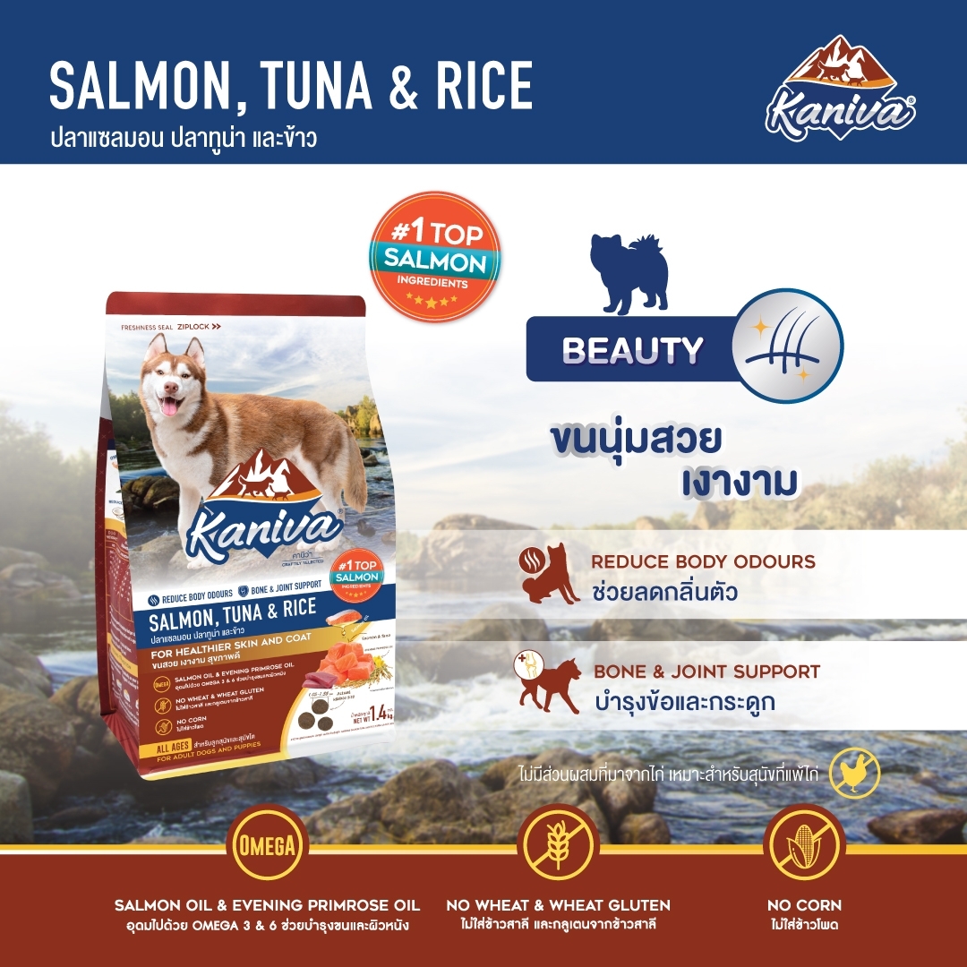 KANIVA x BUS PAWFECT DOG BOX SET อาหารสุนัข ขนาด 1.3 - 1.5 Kg. มีให้ ...