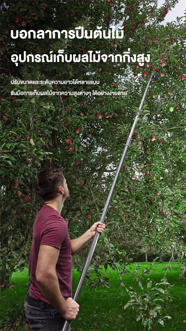 MAYILON แถมเลื่อยฟัน 30 ซม กรรไกรตัดกิ่ง ยืดหกถึง1.8-4.3M ตัด หนีบ เลื่อยได้3in1 SK5 กรรไกรเก็บ ...