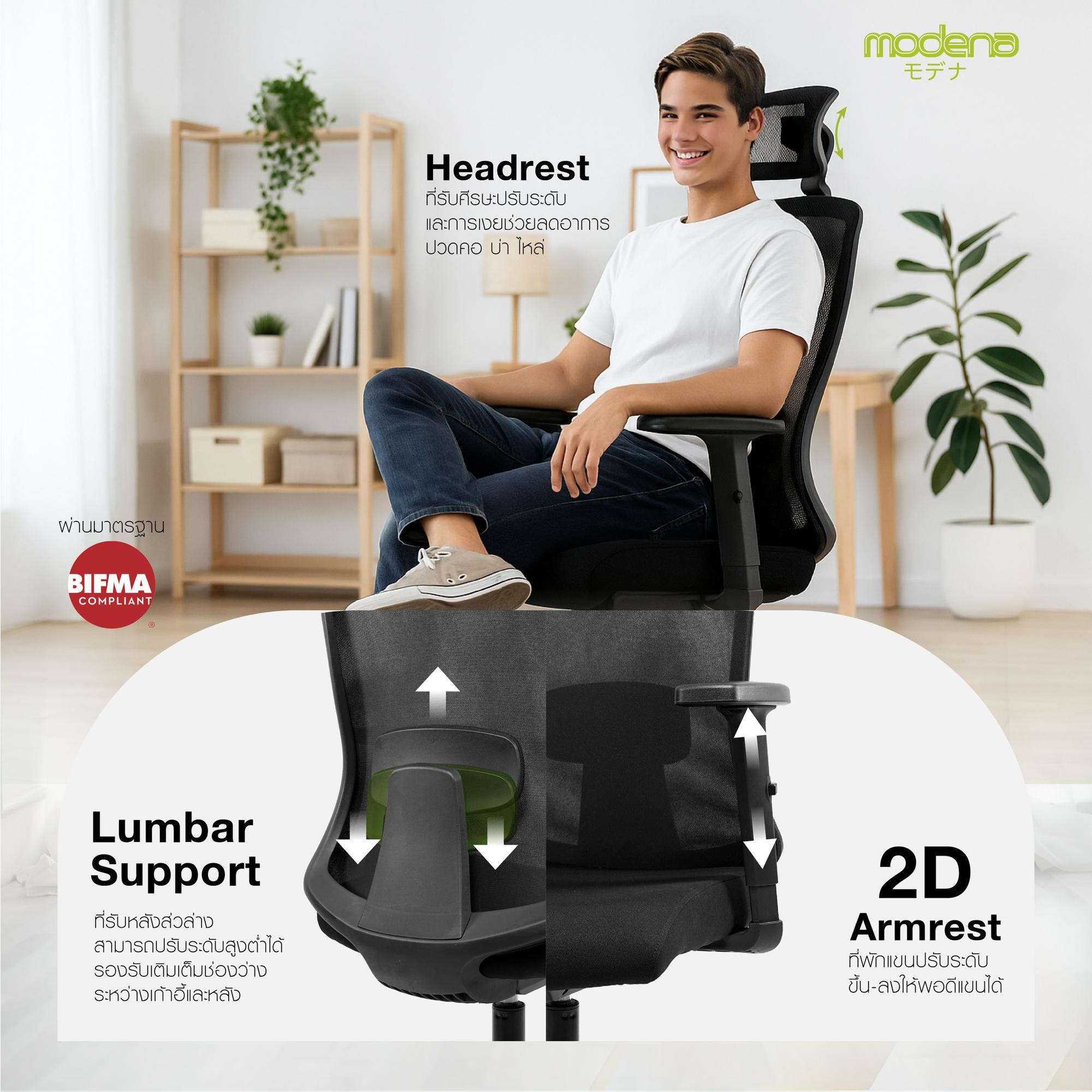 MODENA เก้าอี้เพื่อสุขภาพ รุ่น Support พนักพิง Auto-Adjust (ส่งเป็น ...