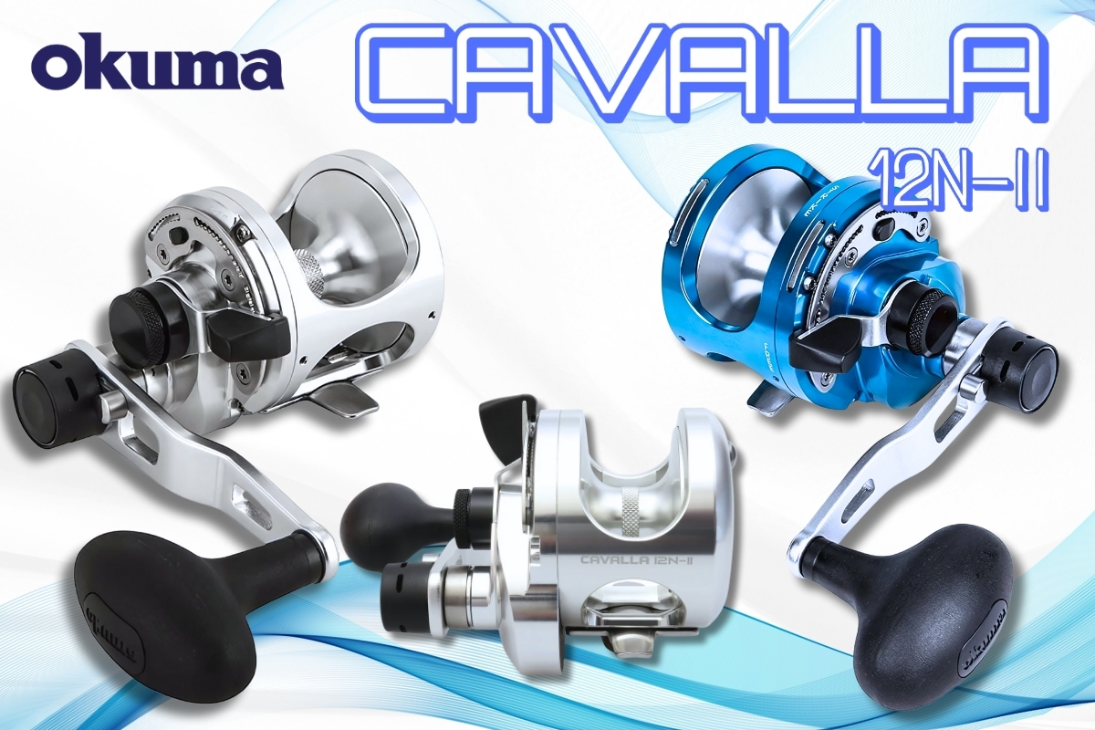 รอกเบท OKUMA CAVALLA 12N-II | Shopee Thailand
