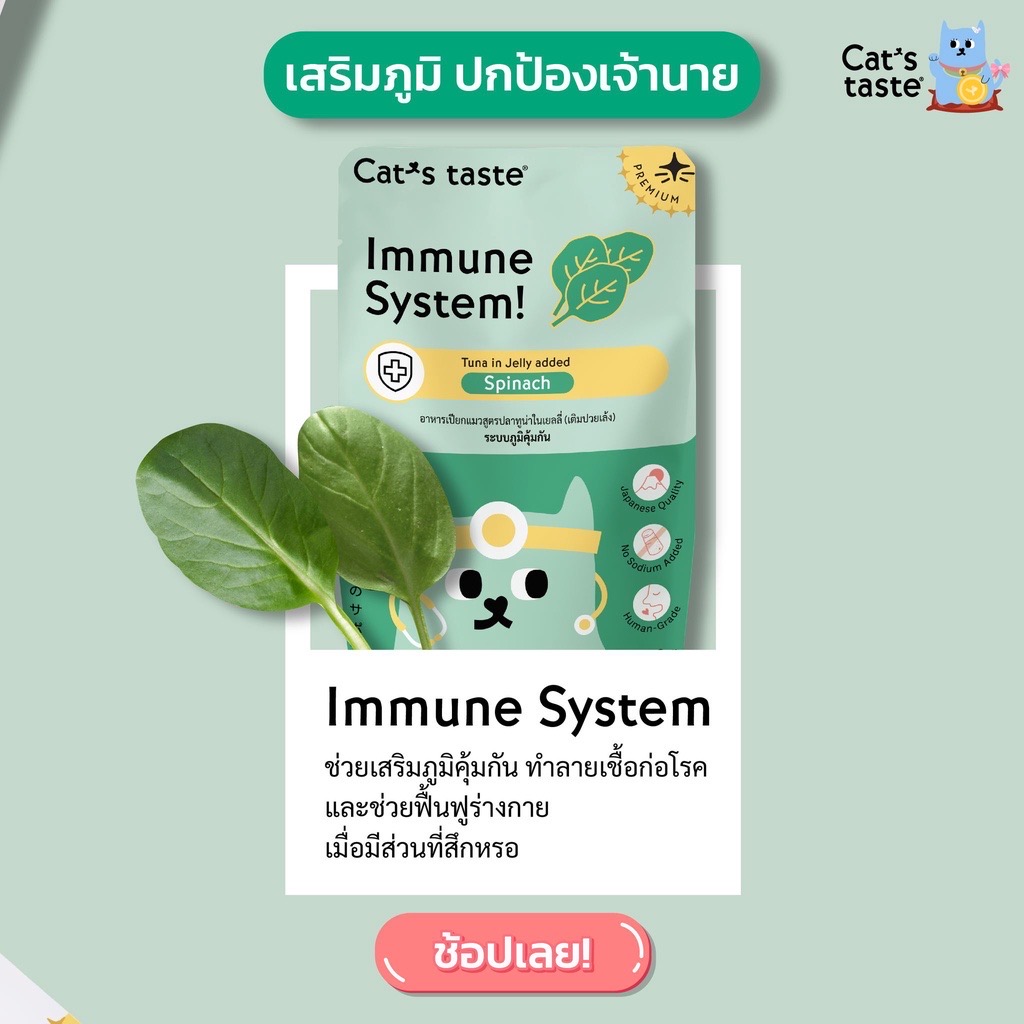(48ซอง) cat's taste premium อาหารเปียกแมวสุขภาพขนาด 70 g | Shopee Thailand