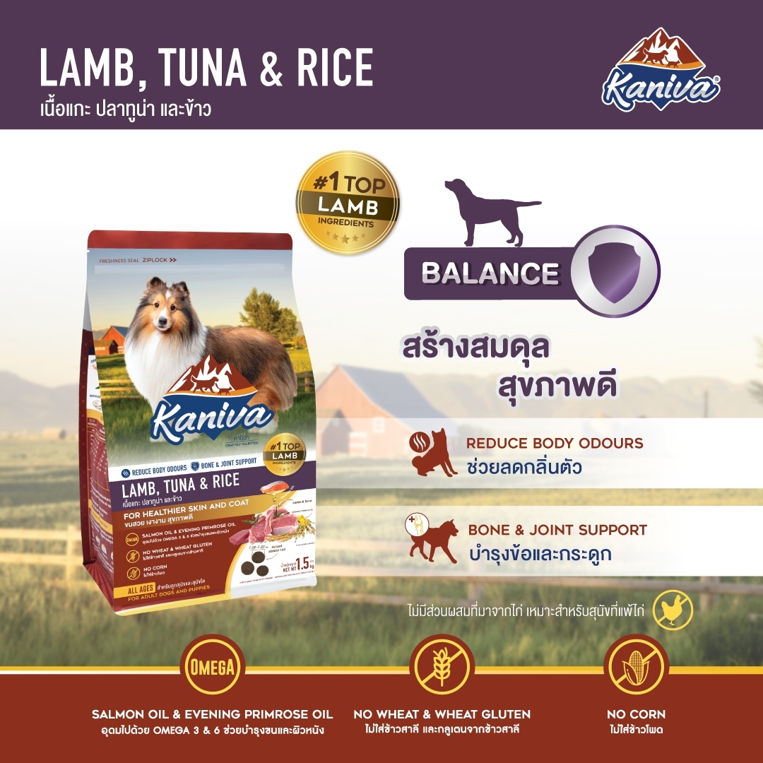 KANIVA x BUS PAWFECT DOG BOX SET อาหารสุนัข ขนาด 1.3 - 1.5 Kg. มีให้ ...