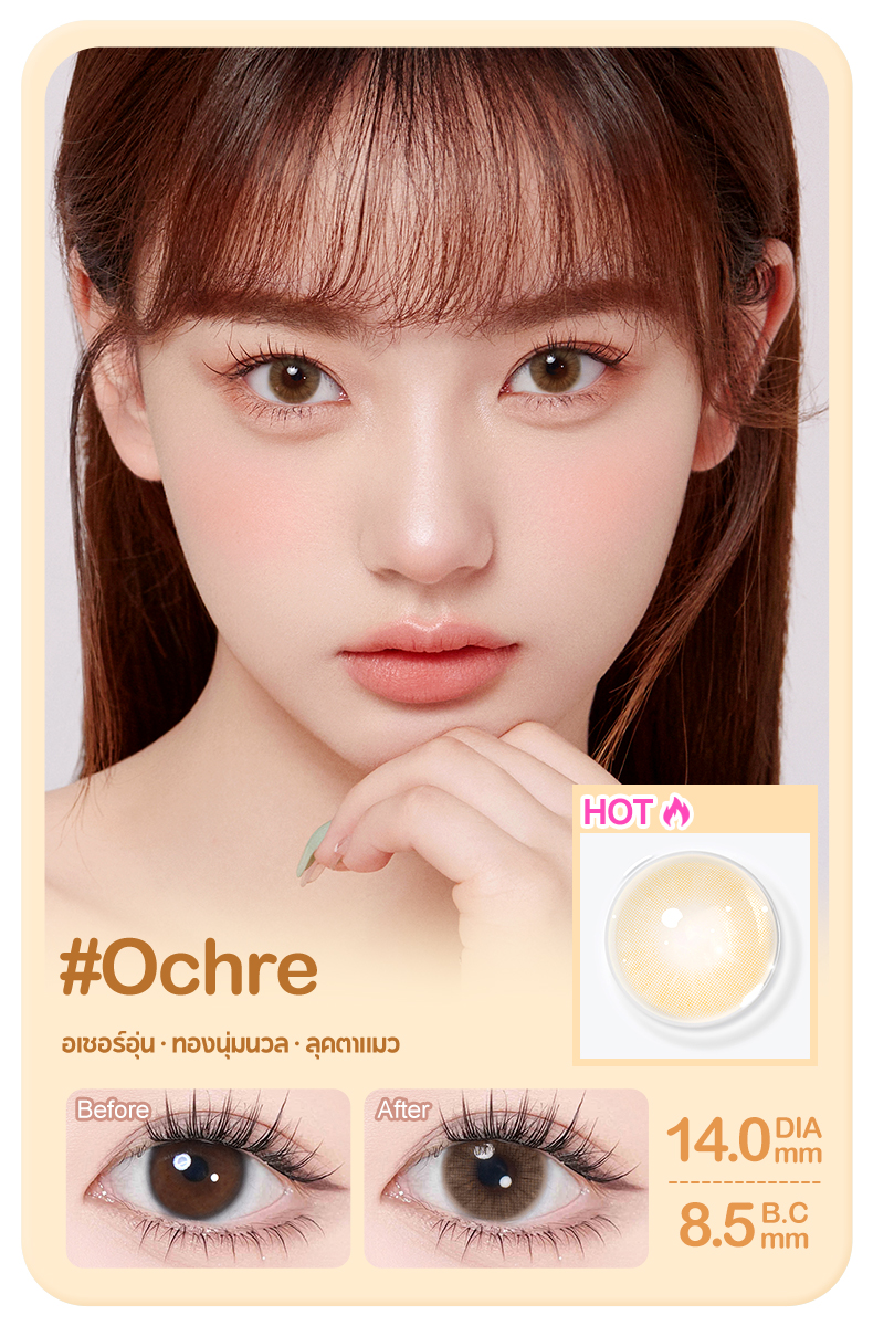 [0.00 ~ -8.00]Magister คอนแทคเลนส์ ซีรีส์ควีน 6 เดือน Amber Graphite ...