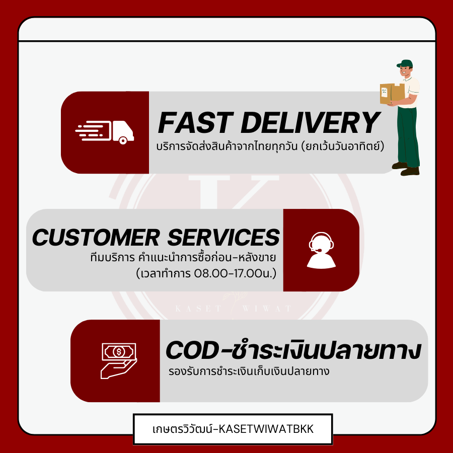 ชุดลานสตาร์ท ชุดสตาร์ท ฝาสตาร์ท ลานสตาร์ท เครื่องตัดหญ้า GX35 RBC411 NB411 CG328 GX160 3WF 767 ...