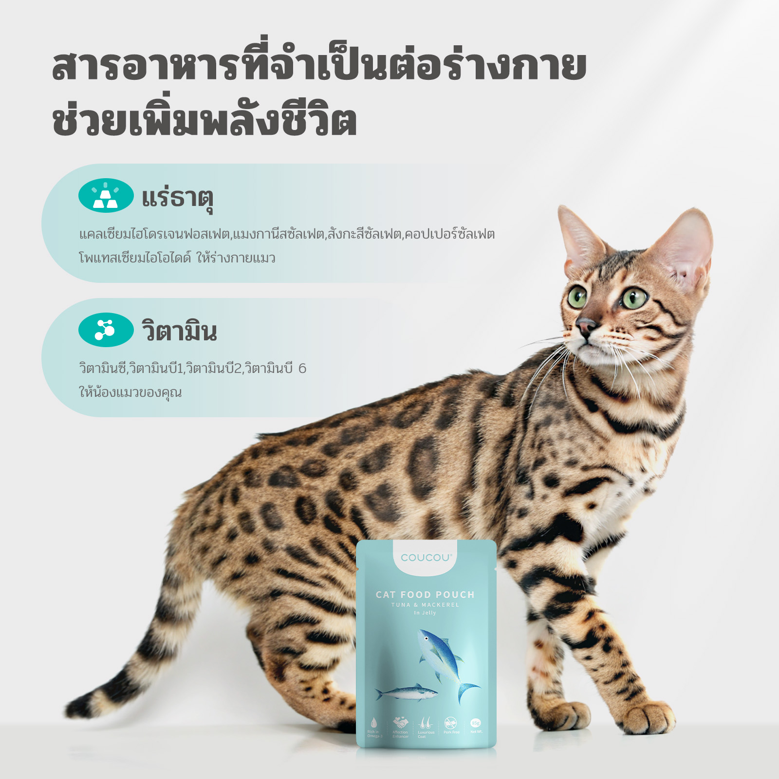 Coucou 85 กรัม*12 อาหารเปียกแมว สุขภาพดี | Shopee Thailand