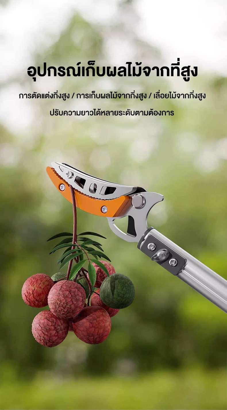 MAYILON แถมเลื่อยฟัน 30 ซม กรรไกรตัดกิ่ง ยืดหกถึง1.8-4.3M ตัด หนีบ เลื่อยได้3in1 SK5 กรรไกรเก็บ ...