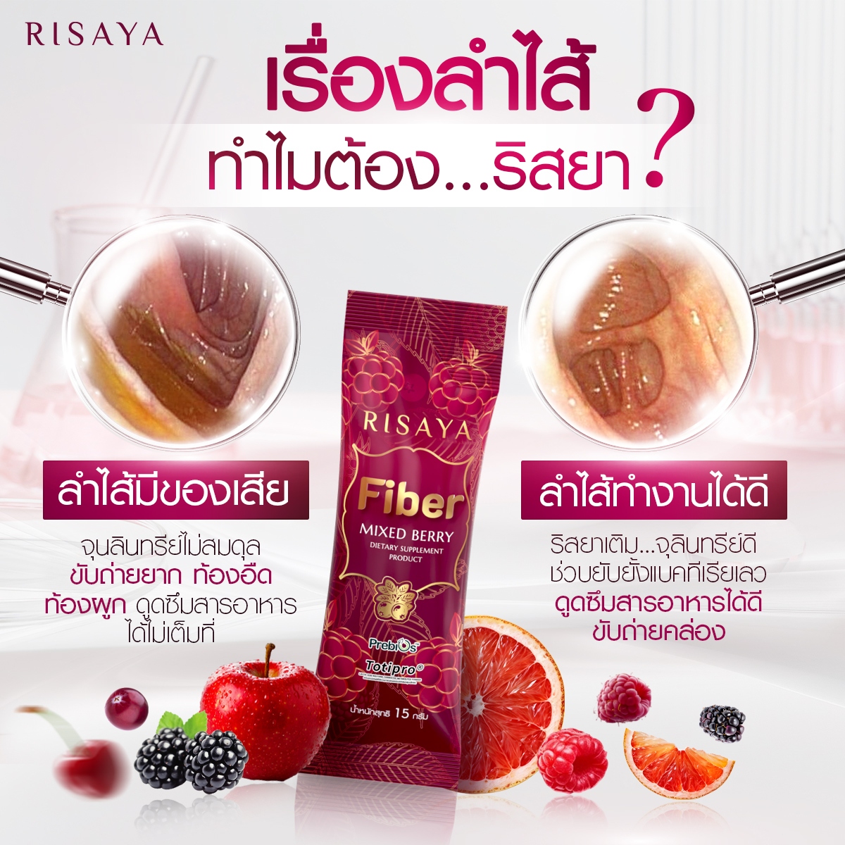 RISAYA FIBER🩷5แถม5🩷ริสยา ไฟเบอร์ กิ๊ก สุวัจนี มิกซ์เบอร์รี่ ดีท็อกซ์ ( 1ห่อ 10ซอง ) | Shopee ...