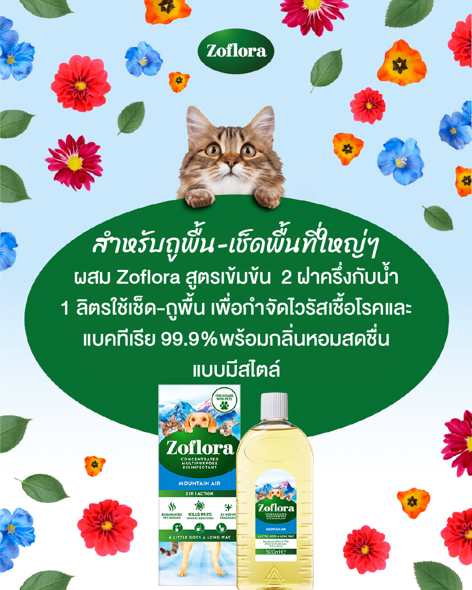 Zoflora โซฟลอรา สเปรย์น้ำยาฆ่าเชื้อ แอนตี้ไวรัสและแบคทีเรีย เซอร์เฟส ...
