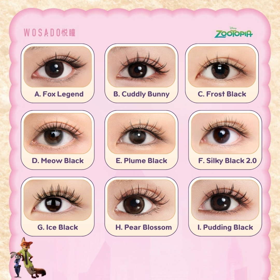 3 เกลอ ️พร้อมส่งแล้ว ️ขนตาแม่่เหล็ก Wosado รวมรุ่น Butterbear / Bearis ...