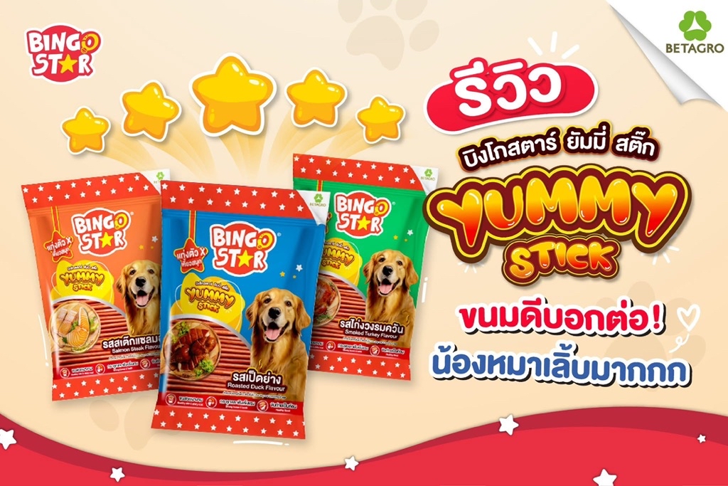 {ขนาด500g.x12แพ็ค} Bingo Star Yummy Stick บิงโกสตาร์ ยัมมี่ สติ๊ก ขนม ...