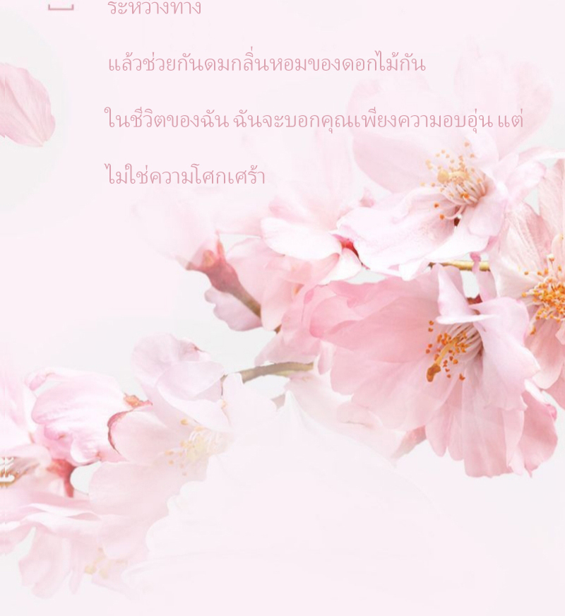 ALPSPORT Cherry 4U ไม้แบด มีสาย รุกแสงอัลตร้า ดั้งเดิม เส้นใยคาร์บอน ...