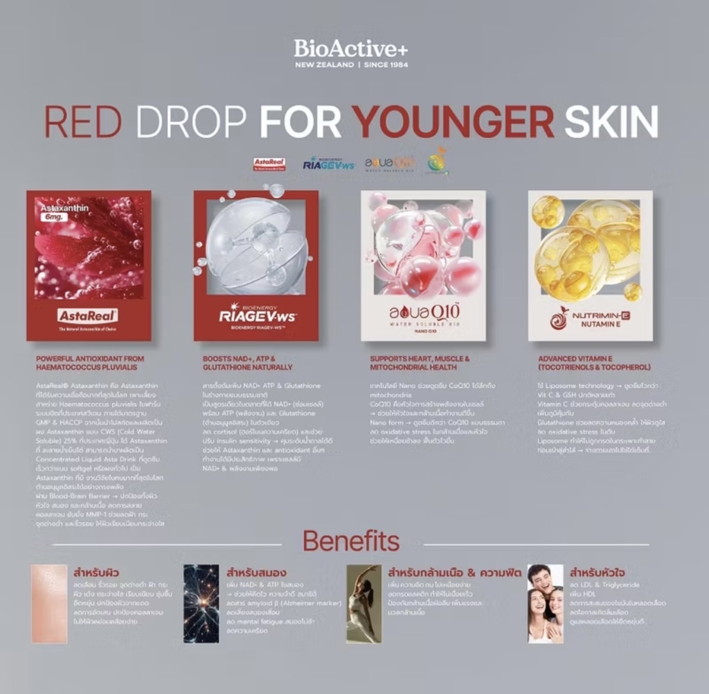 [New 10กล่อง] BioActive+ Concentrated Liquid Asta Drink 10 หลอด ...