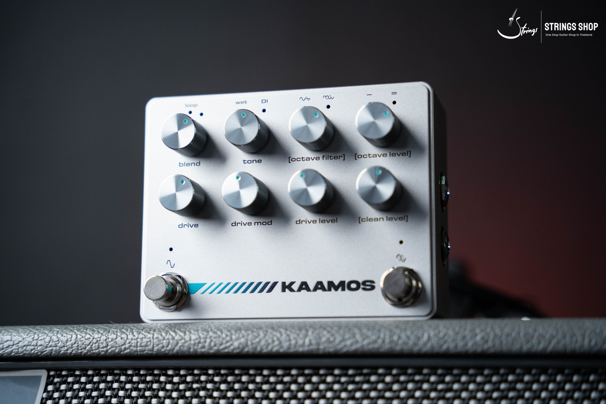 เอฟเฟคเบส Darkglass Kaamos Bass Distortion/Octaver Pedal | Shopee Thailand