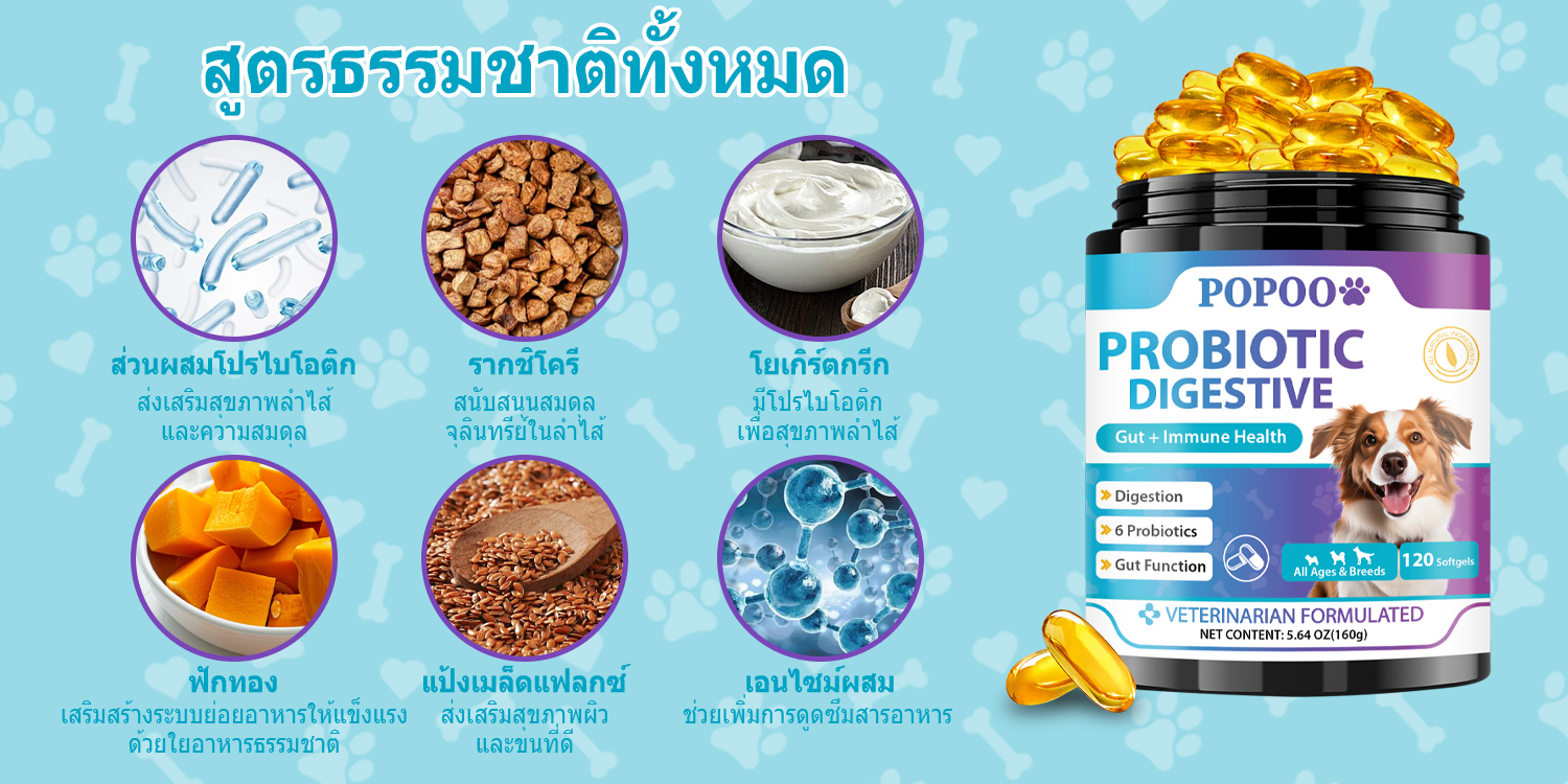 Popoo Probiotics for Dogs Gut Health โพรไบโอติกสุนัข สุขภาพทางเดินอาหาร ...