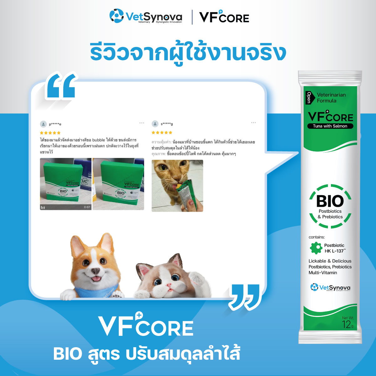 VFcore BIO วิตามินแมวเลีย ปรับสมดุลทางเดินอาหาร ลดอาการท้องเสีย ลำไส้อักเสบ 12 ซอง | Shopee Thailand