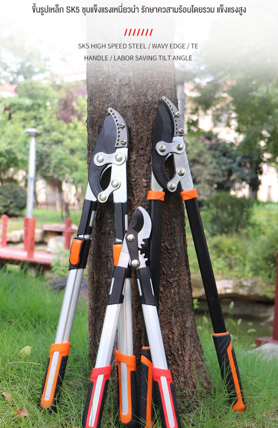 MAYILON กรรไกรตัดกิ่ง กรรไกรตัดกิ่งไม้ด้ามยาว ตัดกิ่งได้ เหล็ก กรรไกรตัดหญ้า SK5 ปรับควายาวได้ ...