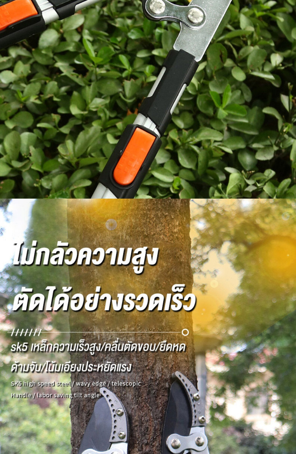MAYILON กรรไกรตัดกิ่ง กรรไกรตัดกิ่งไม้ด้ามยาว ตัดกิ่งได้ เหล็ก กรรไกรตัดหญ้า SK5 ปรับควายาวได้ ...