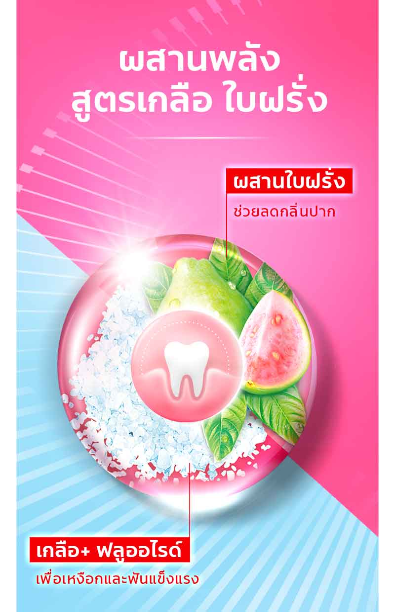 [มี 3 แพ็คให้เลือก] คอลเกต ยาสีฟัน คอลเกต เกลือใบฝรั่ง 150 กรัม Colgate ...
