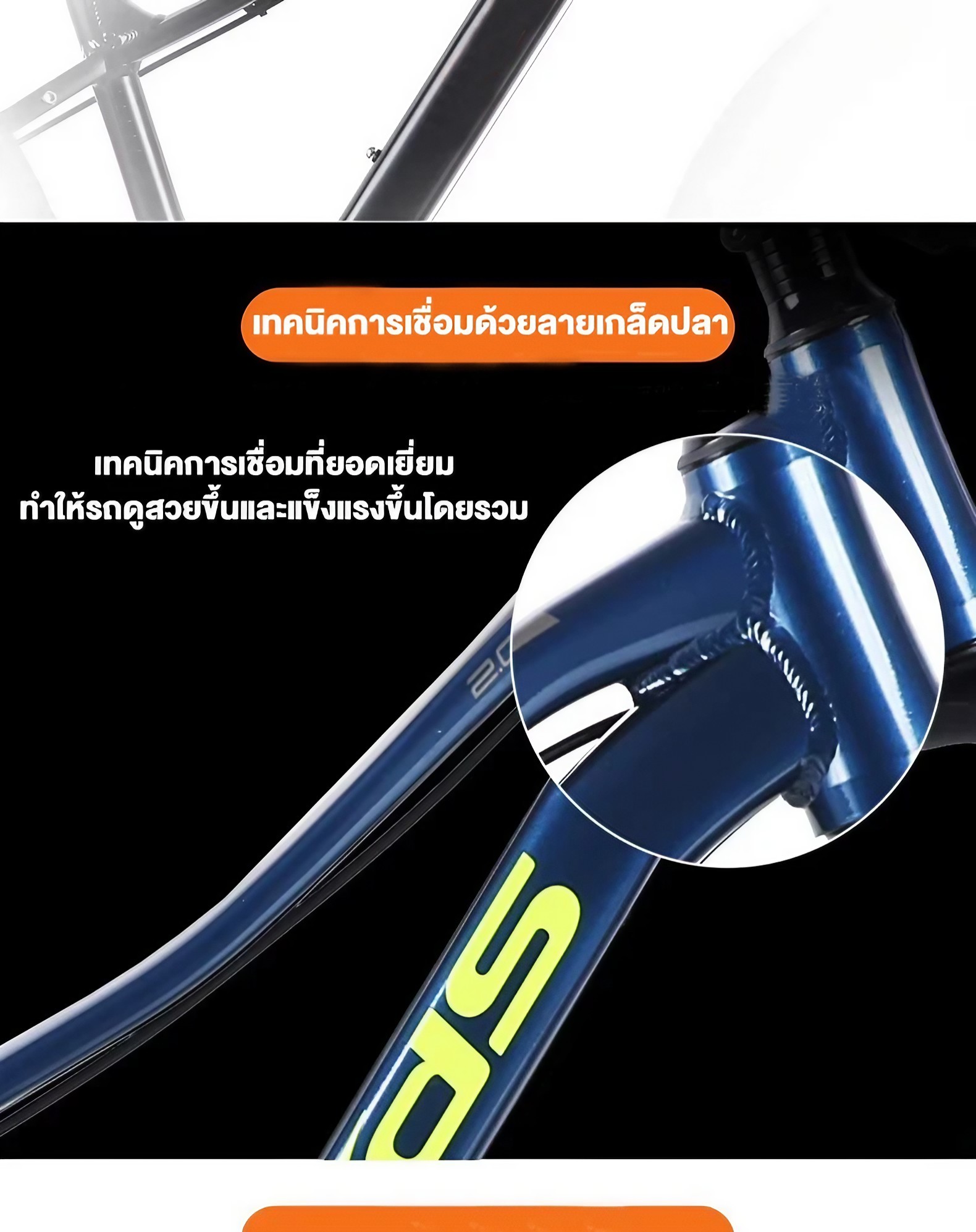 Anchi จักรยานเสือภูเขา 24/26นิ้ว จักรยาน โครงรถที่มีความสูงต่ำ ระบบกันสะเทือนดิสก์เบรก รุ่นใหม่ ...